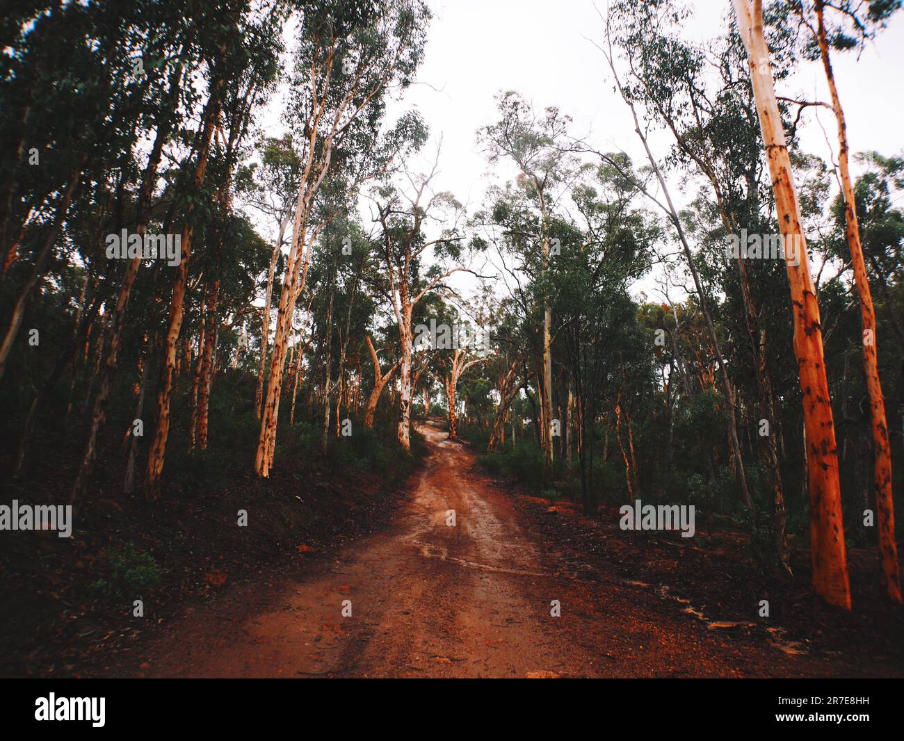 Avonvalley hi-res stock photography and images - Alamy