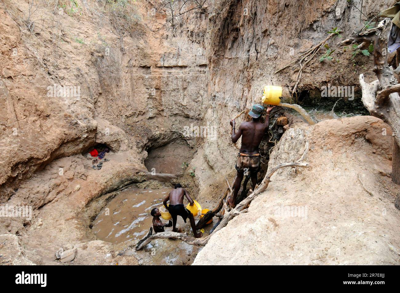 Borana oromo people pumping water for cattle drink. Borana or Boran are ...