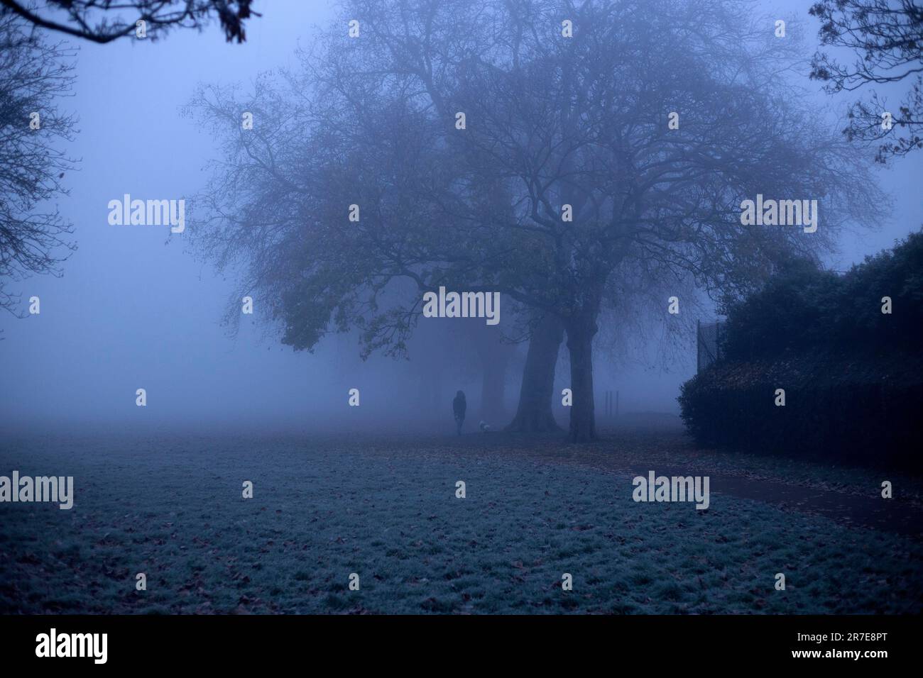 Weather picture hi-res stock photography and images - Alamy