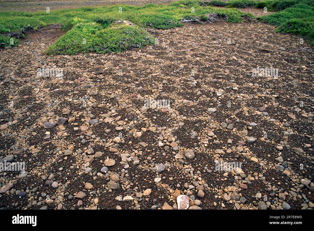 Soils ground hi-res stock photography and images - Alamy