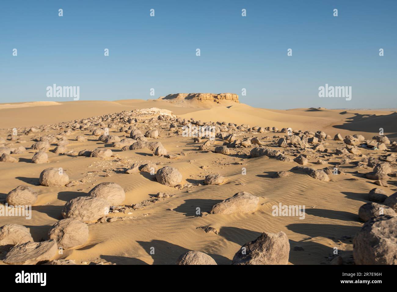 Landscape scenic view of desolate barren western desert in Egypt with ...