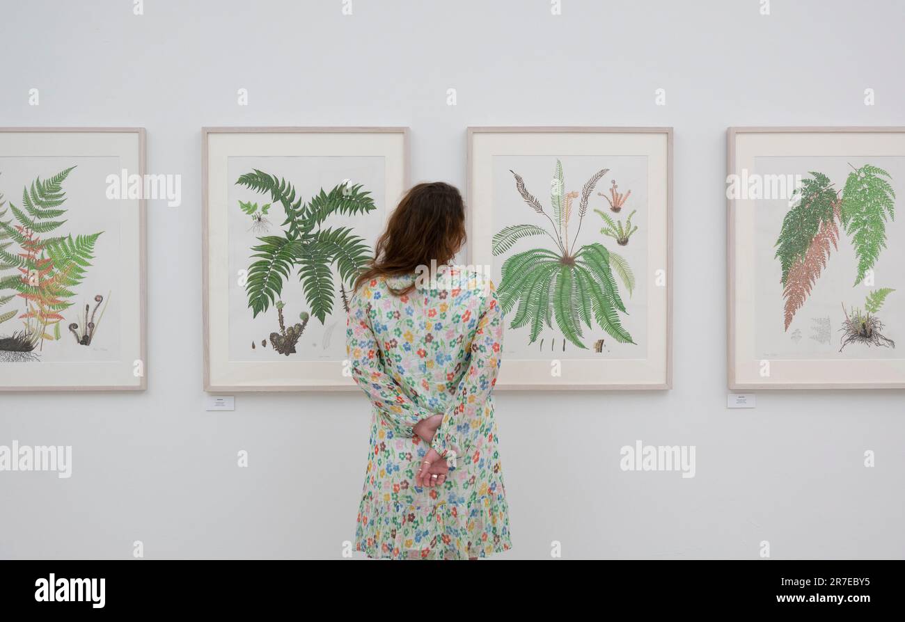 Rhs botanical art hi-res stock photography and images - Alamy