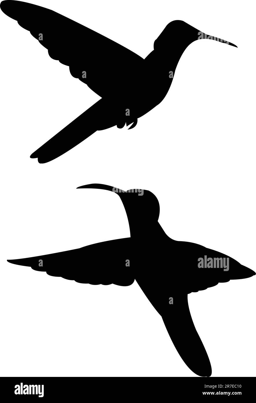 humming bird silhouette - vector Stock Vector Image & Art - Alamy