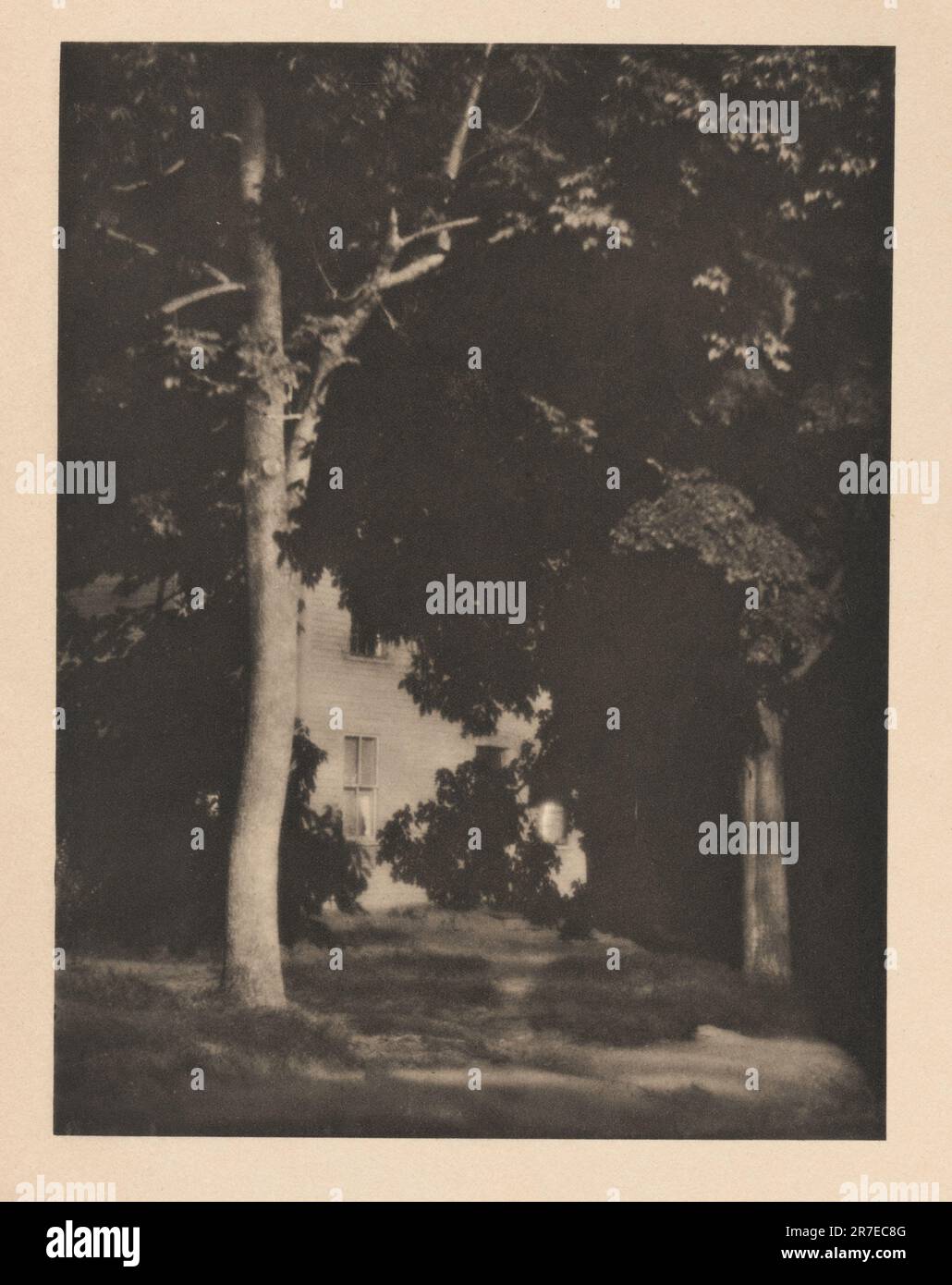 Camera Work 1914 Stock Photo - Alamy