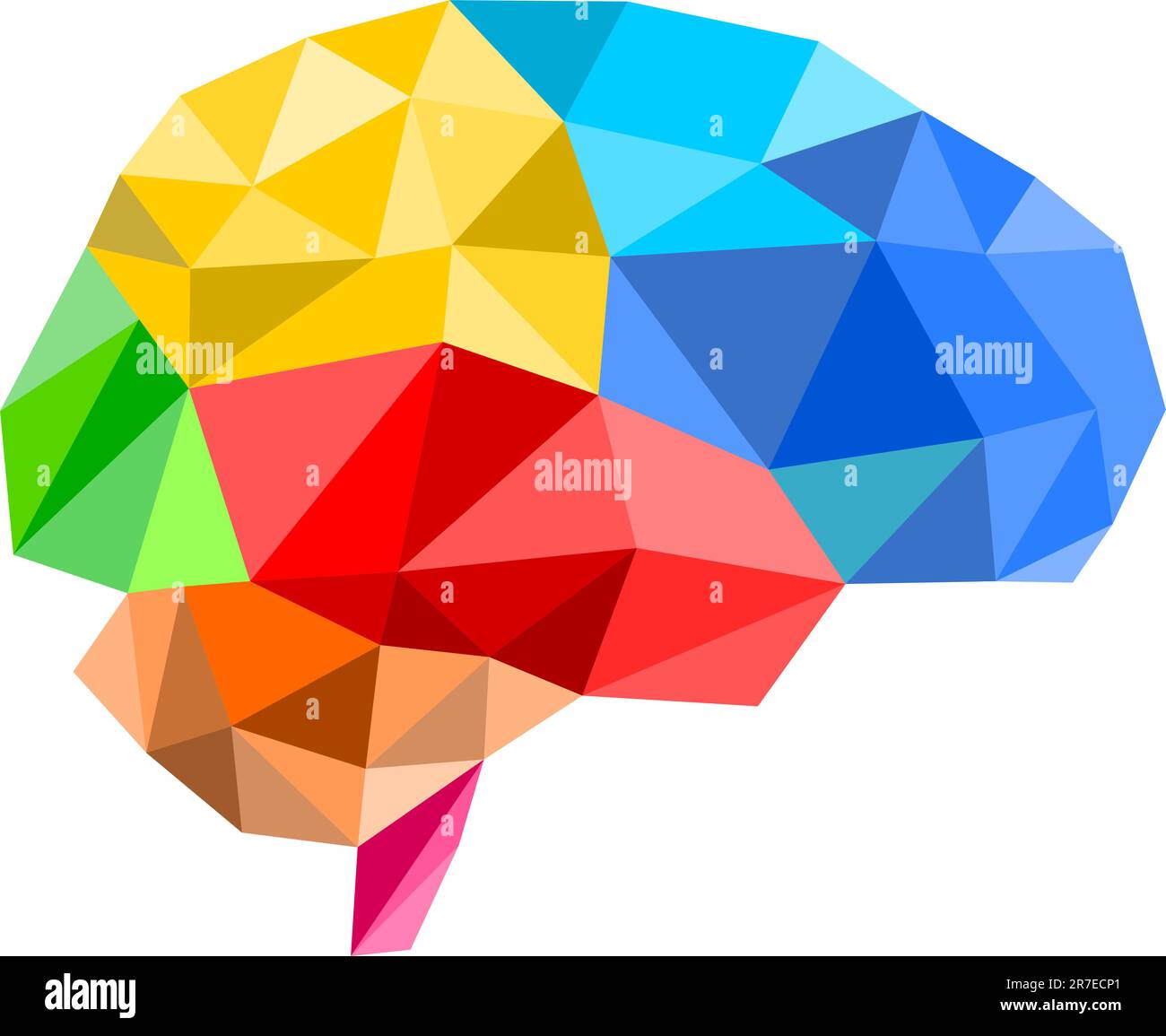 3d polygon brain vector on white background Stock Vector Image & Art ...