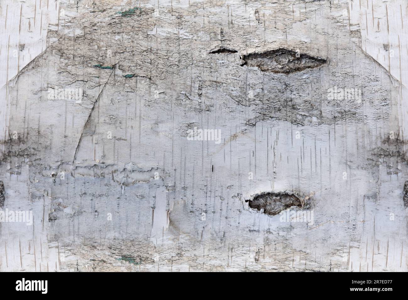 Granular material, solid wood with a structural surface for design ...