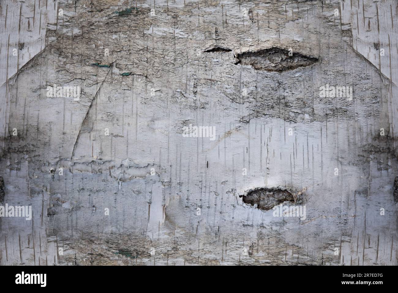 Granular material, solid wood with a structural surface for design ...