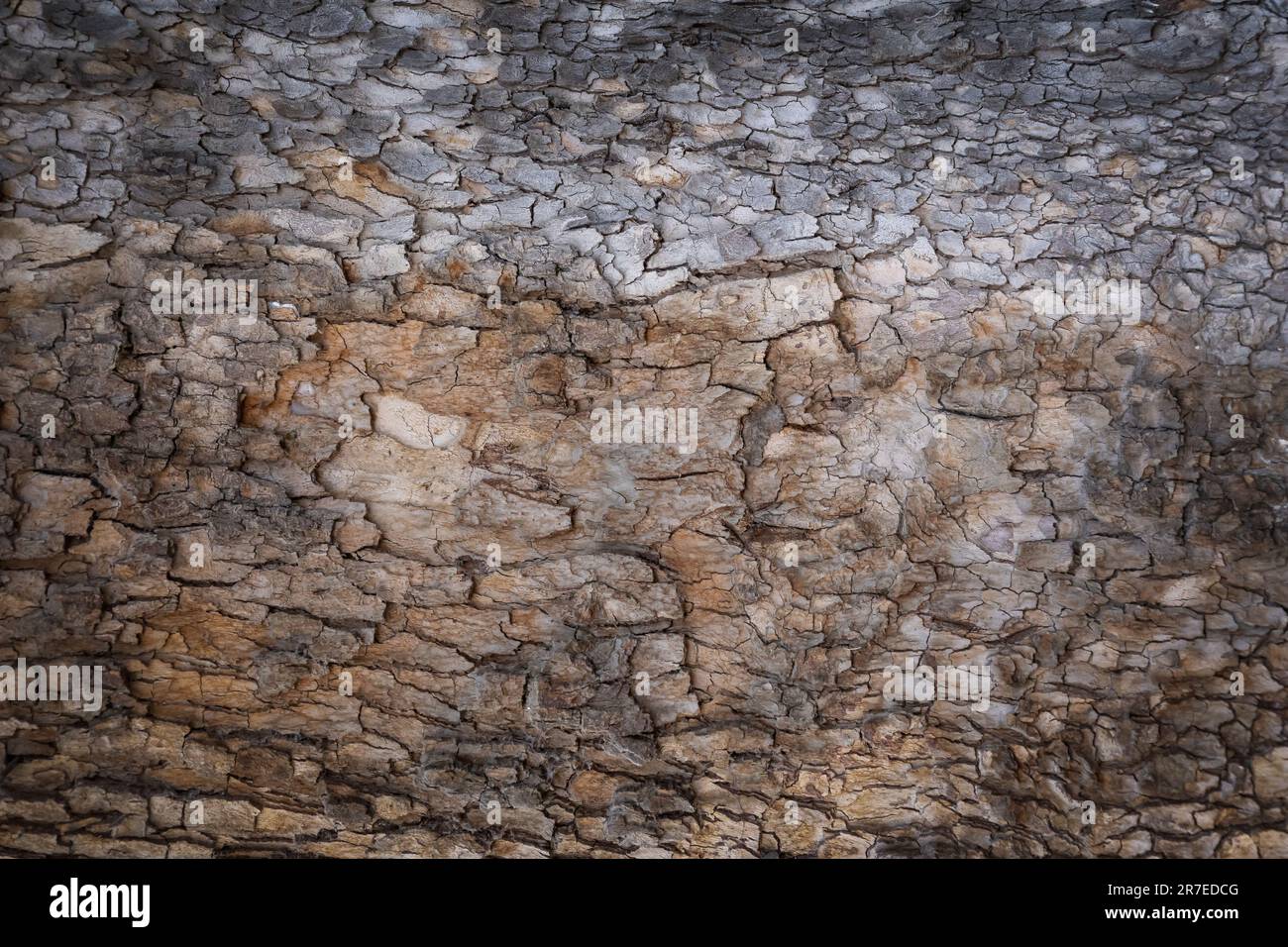 Granular material, solid wood with a structural surface for design ...