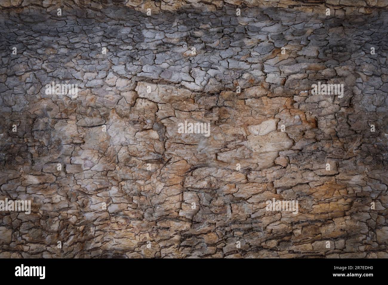 Granular material, solid wood with a structural surface for design ...