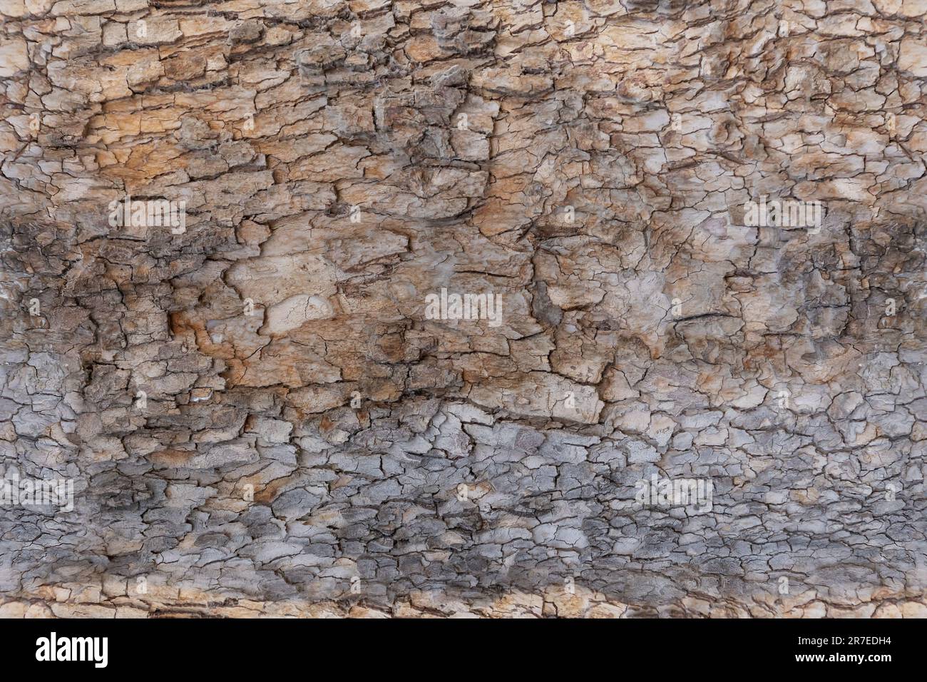 Granular material, solid wood with a structural surface for design ...