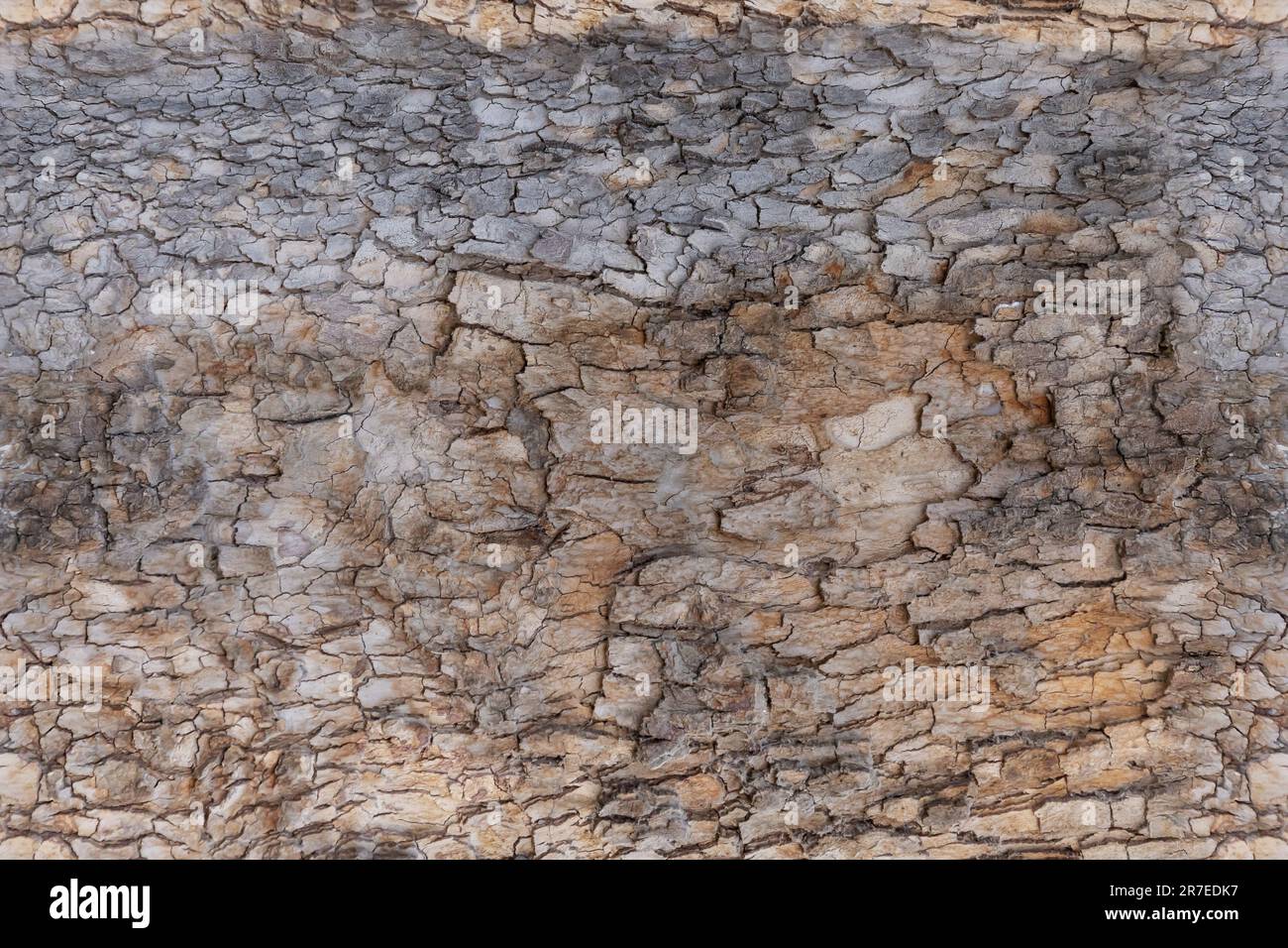 Granular material, solid wood with a structural surface for design ...