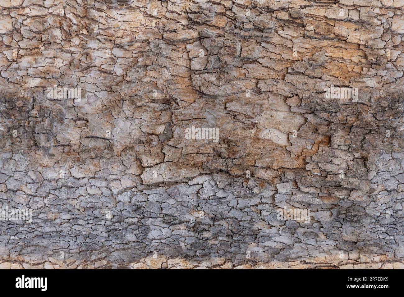 Granular material, solid wood with a structural surface for design ...