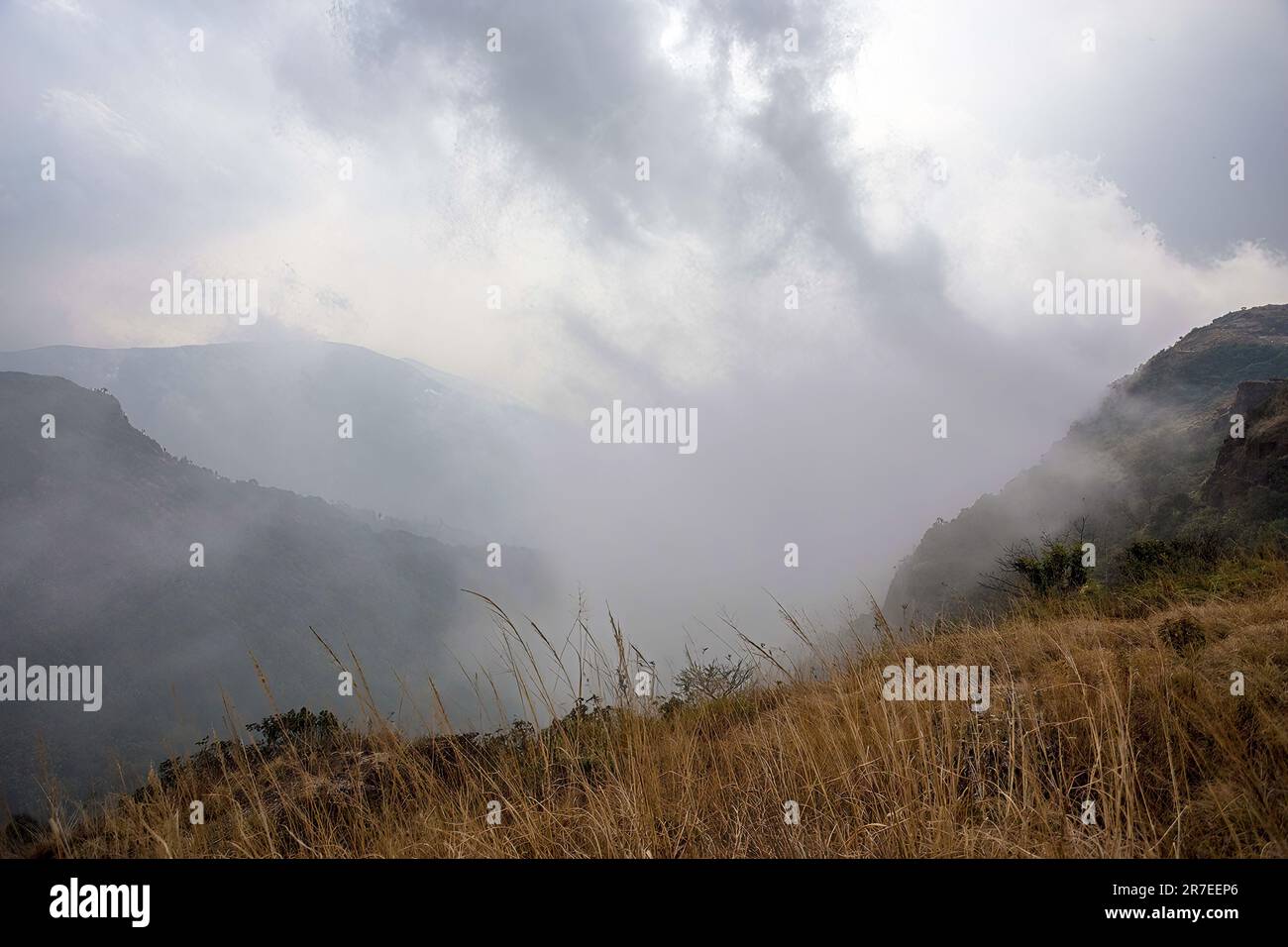 The wettest place on earth Stock Photo - Alamy