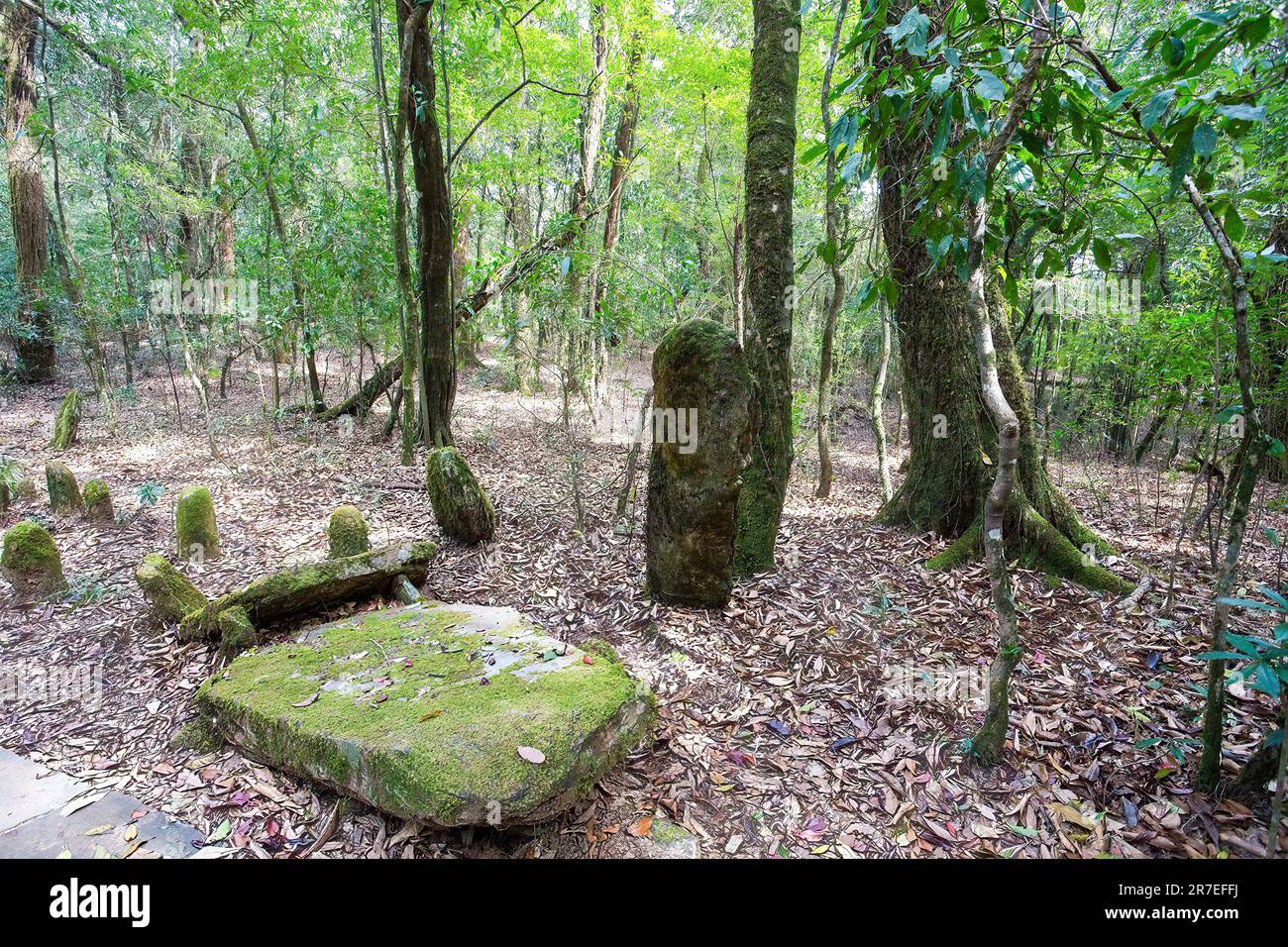Khasi monoliths hi-res stock photography and images - Alamy