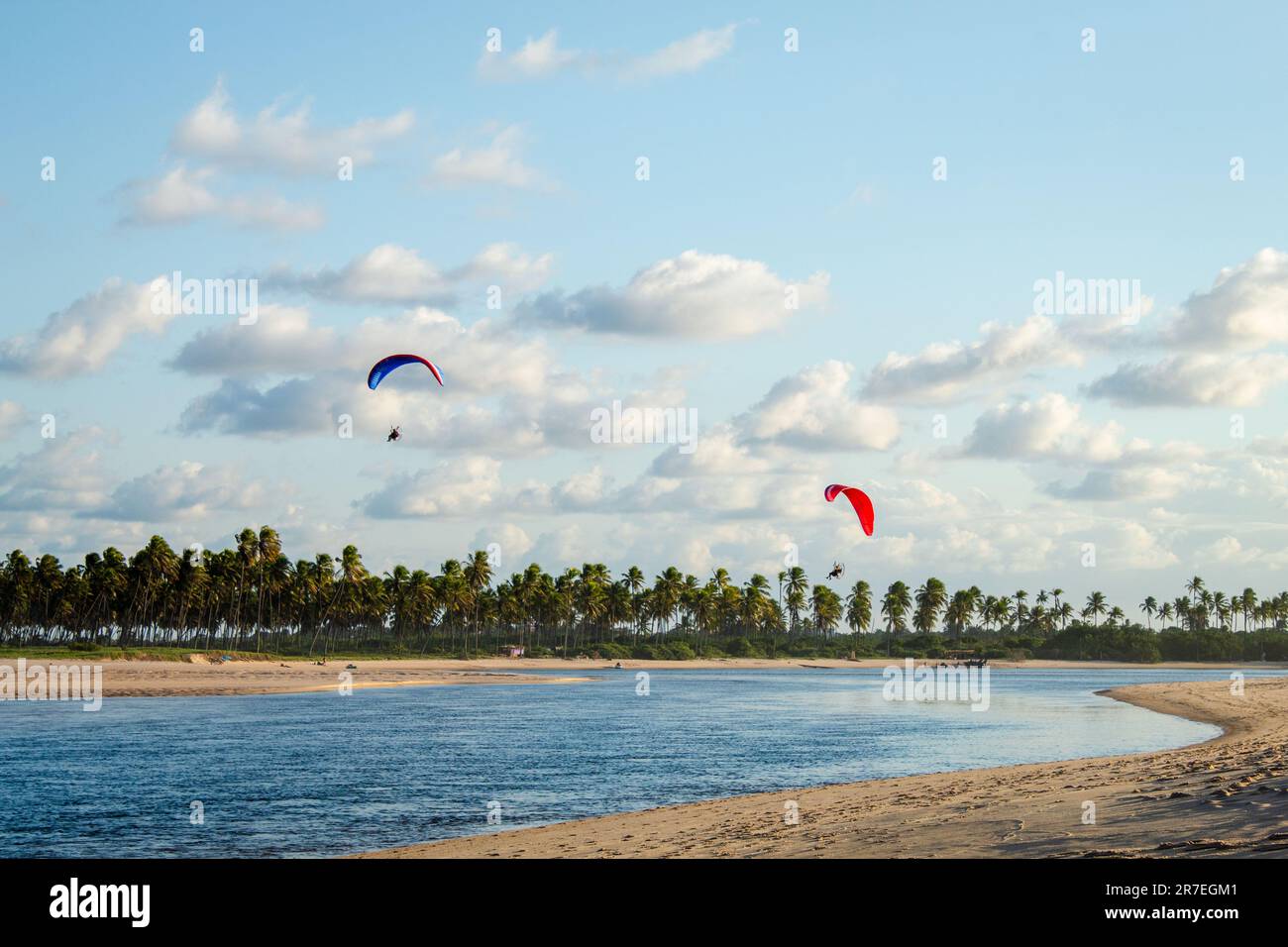 paraglides flying in the beach Stock Photo - Alamy