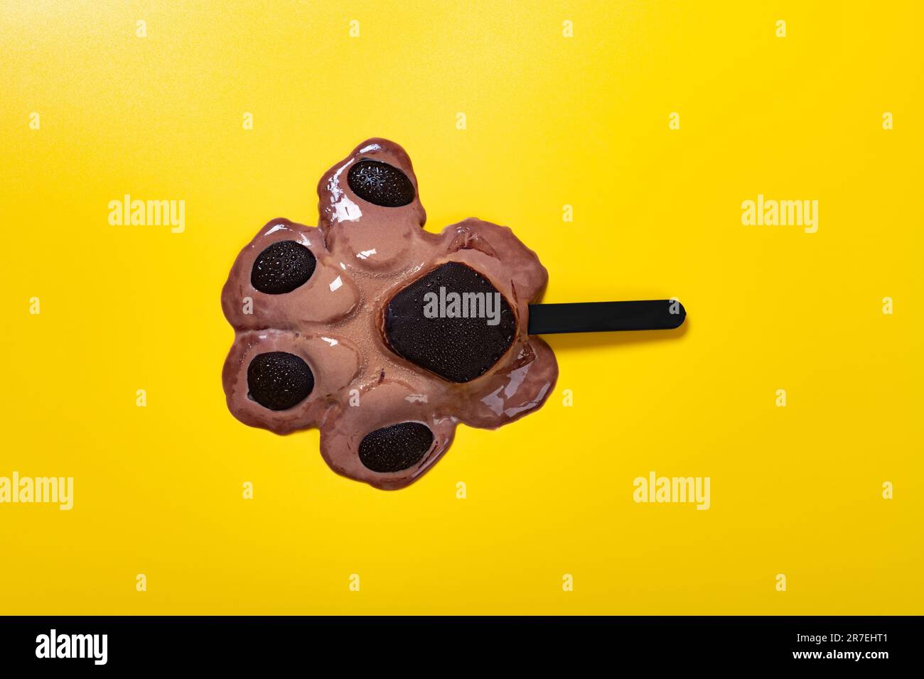 top view bears paw shape chocolate flavor popsicle in a melting process ...