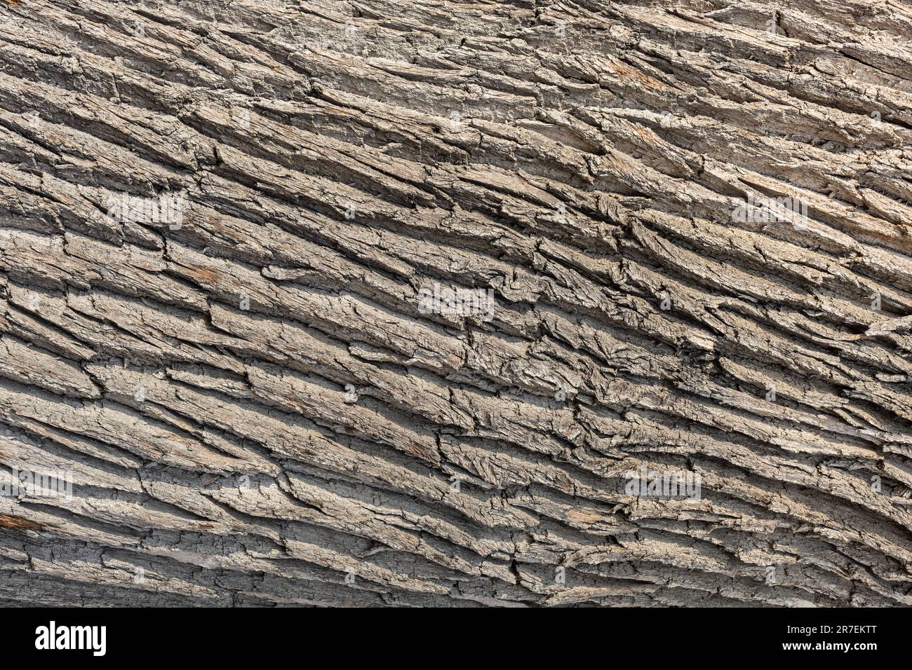 Granular material, solid wood with a structural surface for design ...