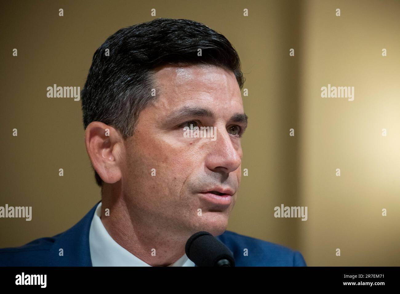 Chad wolf border hi-res stock photography and images - Alamy