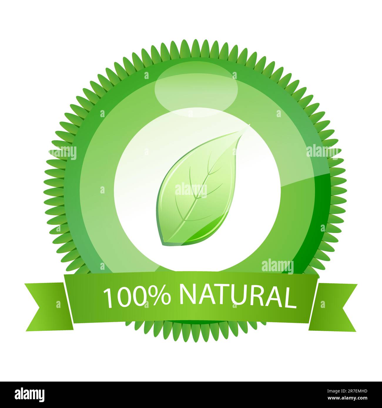 illustration of natural card with leaf on white background Stock Vector ...