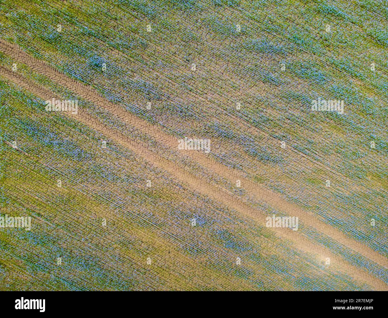 June 2023 uk heatwave hi-res stock photography and images - Alamy