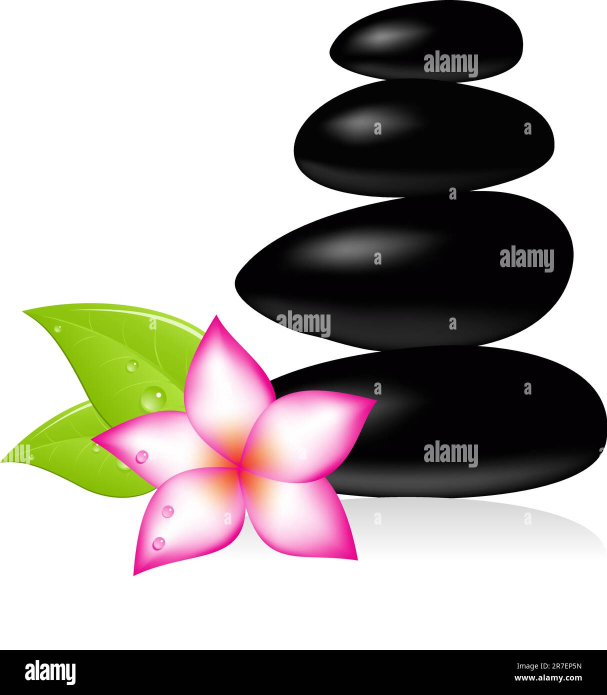 Spa stone and pink beautiful flower. Vector illustration Stock Vector ...