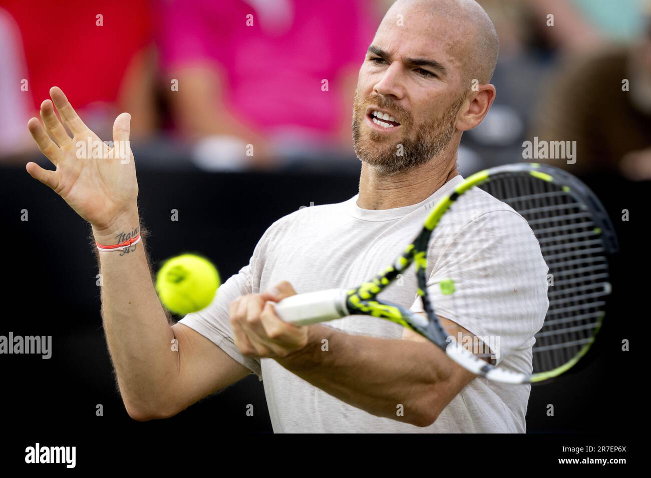 ROSMALEN - 15/06/2023, Adrian Mannarino (FRA) in action against Daniil ...