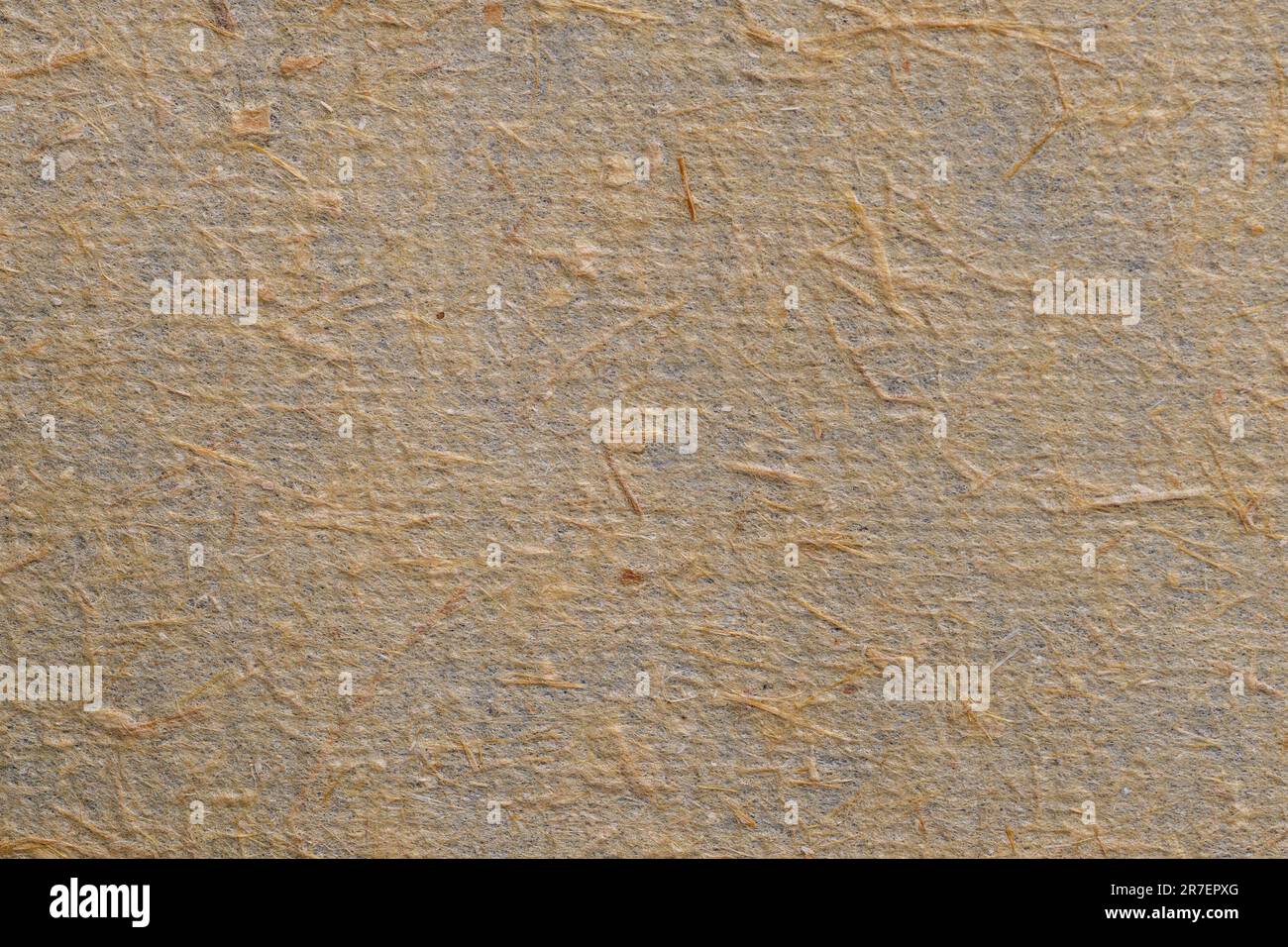 Ecological structure hi-res stock photography and images - Alamy Ecological structure hi-res stock photography and images - Alamy