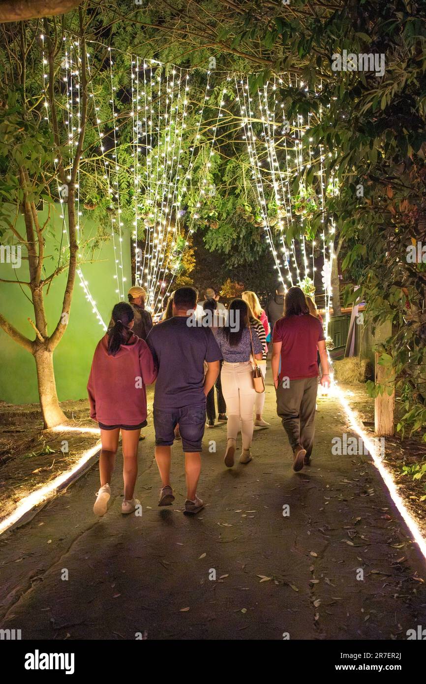 Friends group walking for pathway on a summer night music festival in ...
