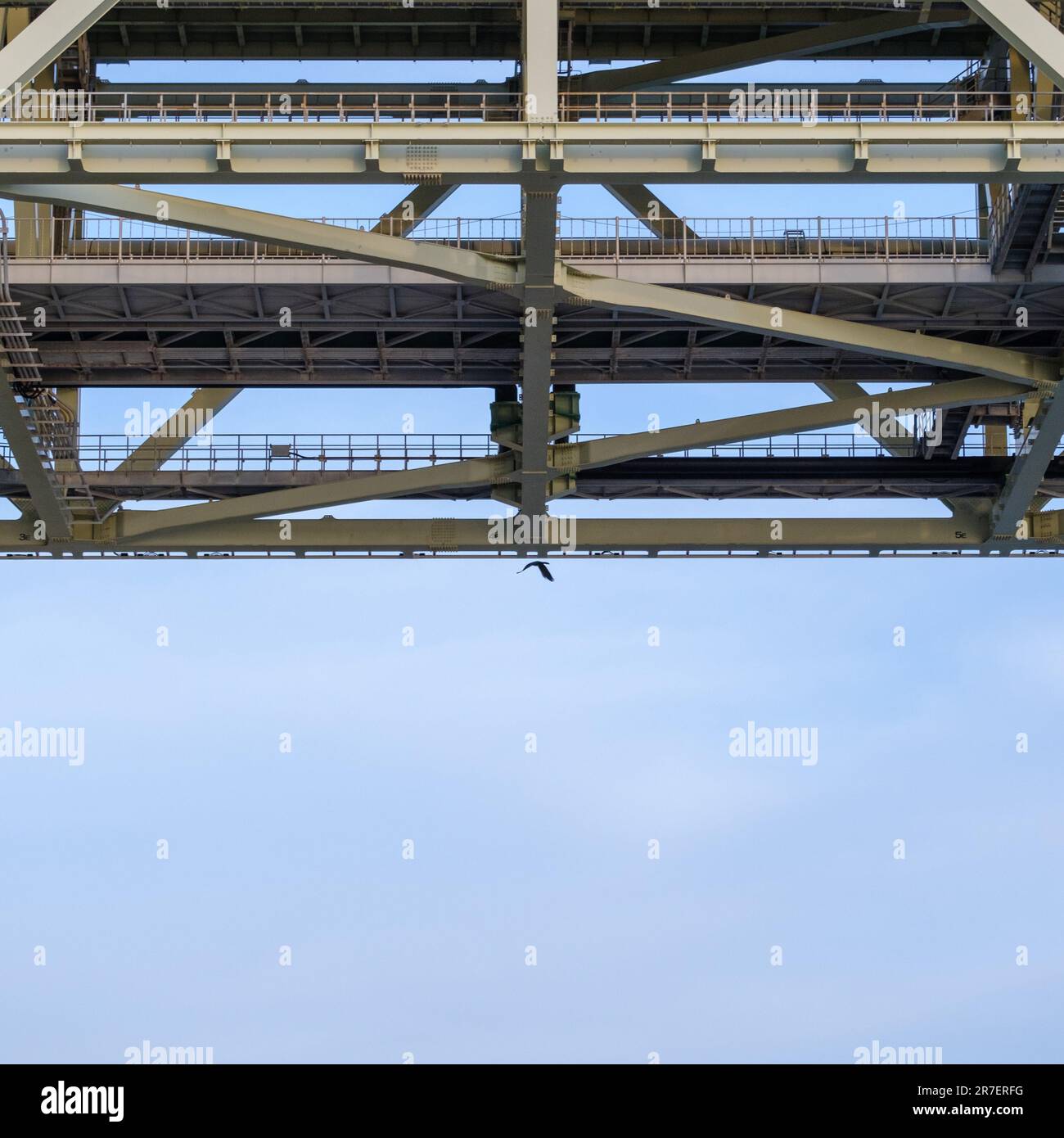 Flight under bridge hi-res stock photography and images - Alamy