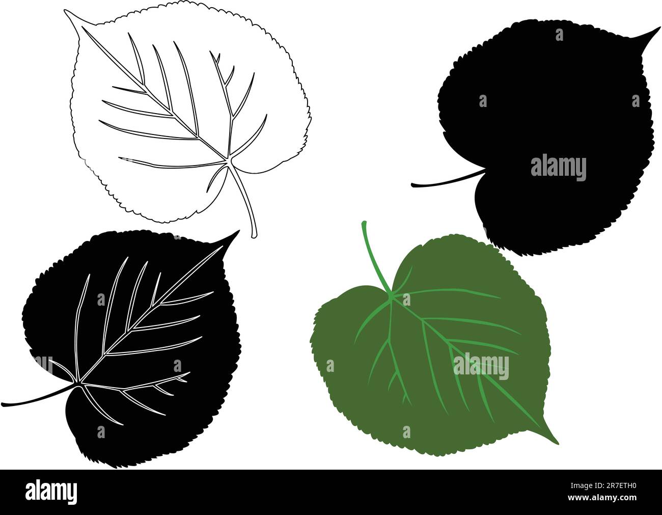 leaf silhouette - vector Stock Vector Image & Art - Alamy