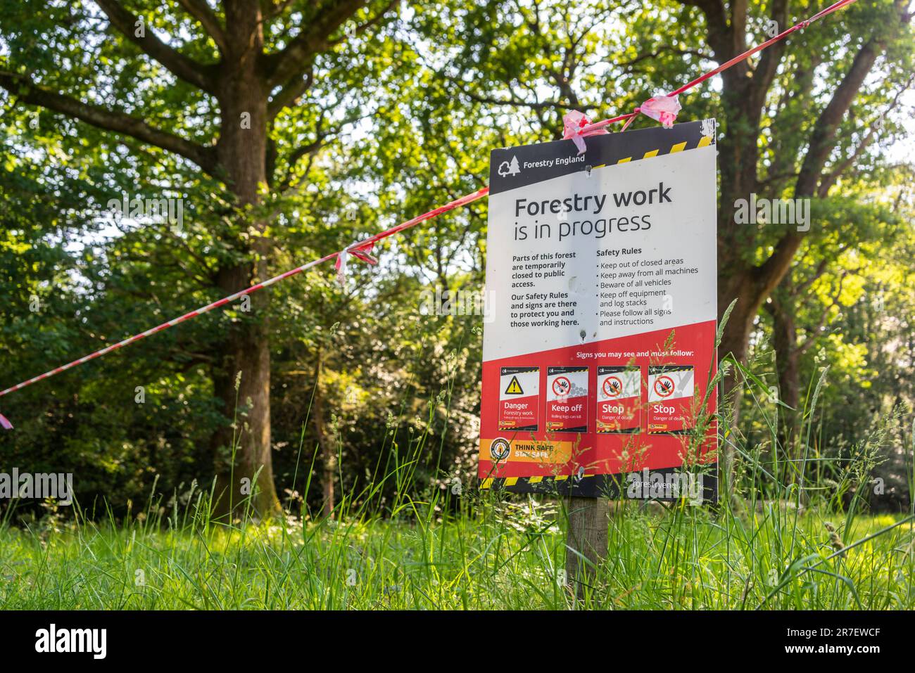 "Forestry work is in progress" warning sign in the New Forest National ...