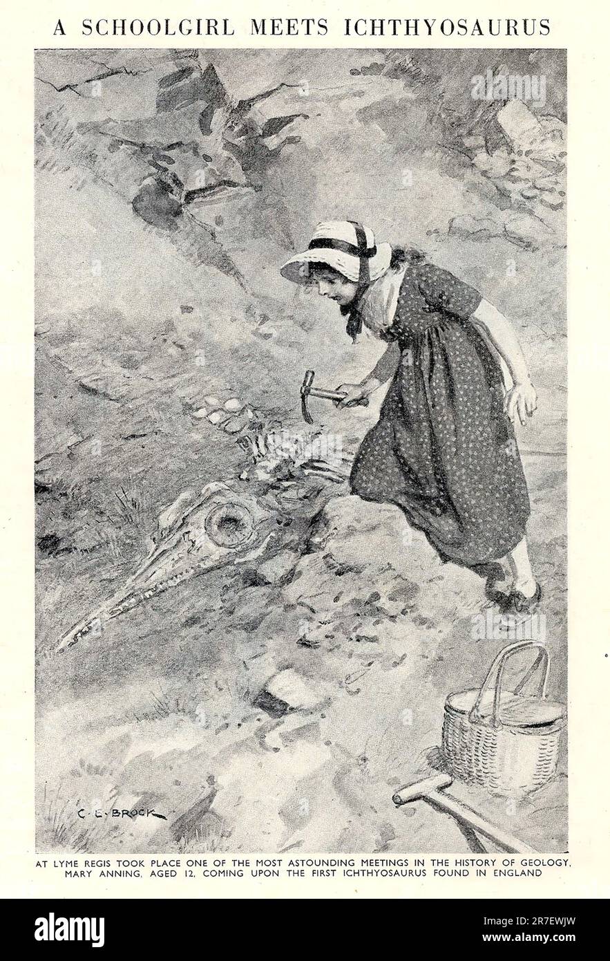 English fossil collector hi-res stock photography and images - Alamy