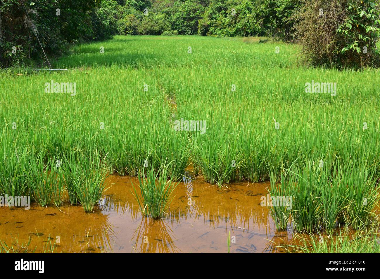 Valley of china hi-res stock photography and images - Alamy