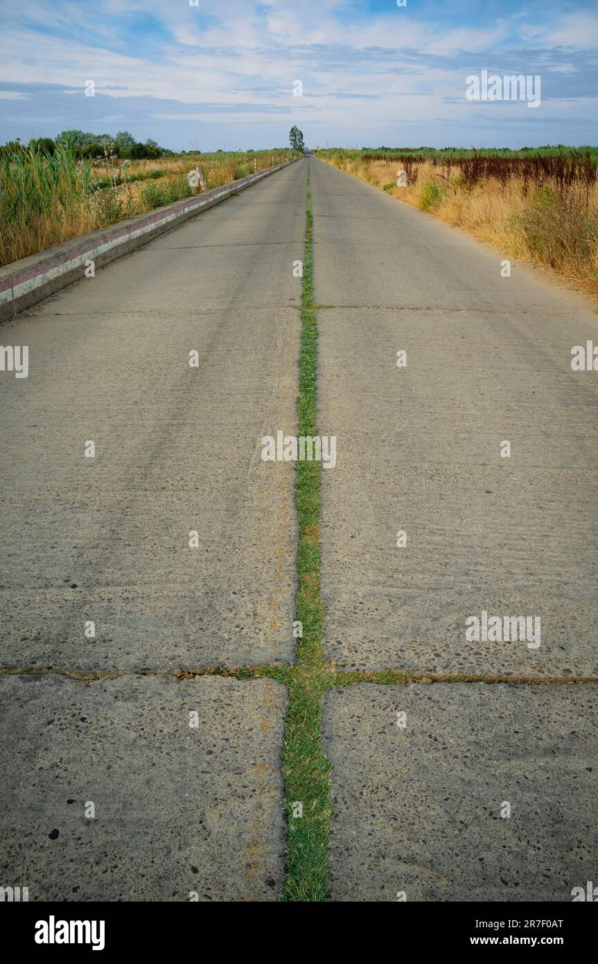 Linear Perspective Photography Roads