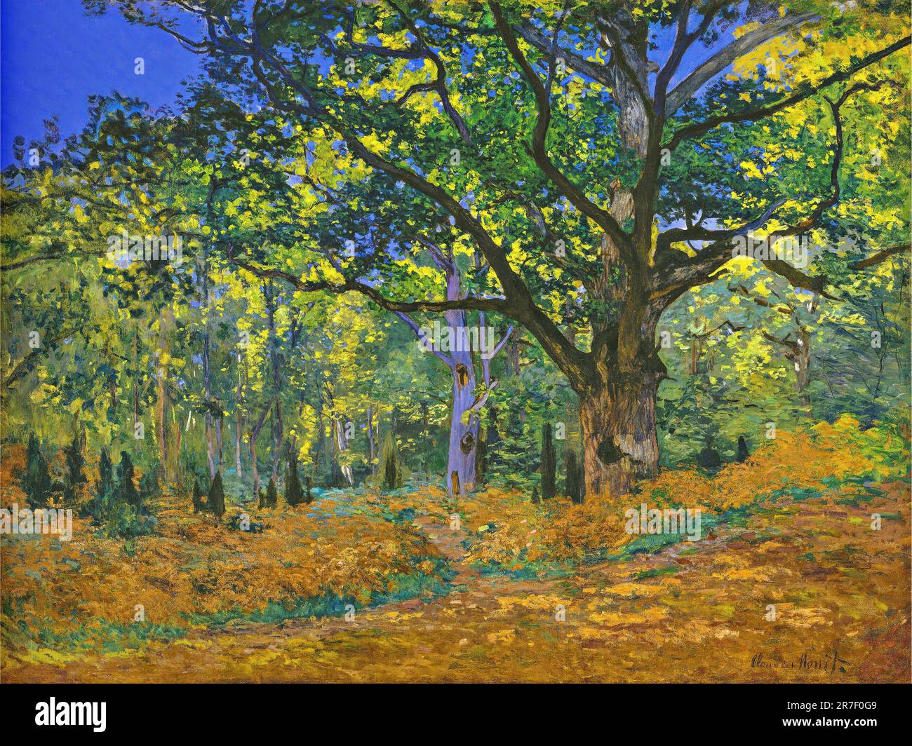 Abstract forest wall painting hi-res stock photography and images - Alamy