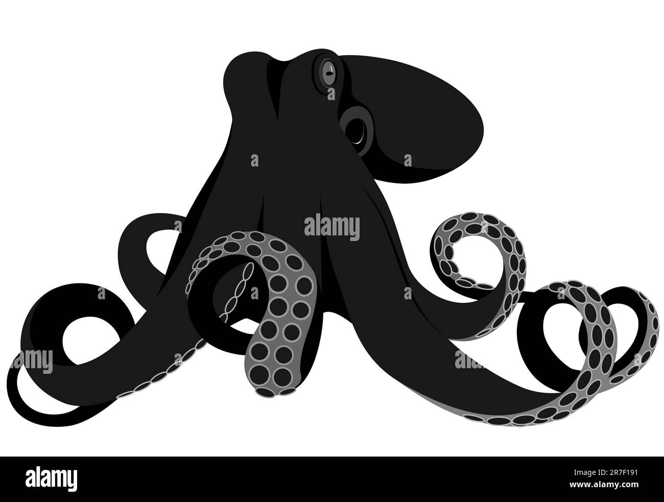 Vector octopus represented in the form of a tattoo Stock Vector Image ...
