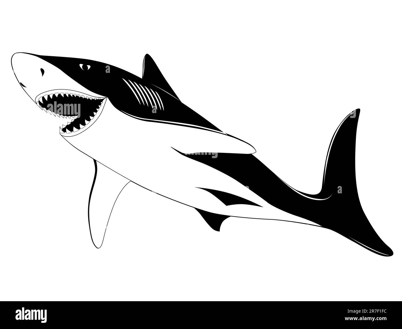 Shark shadow logo Stock Vector Images - Alamy
