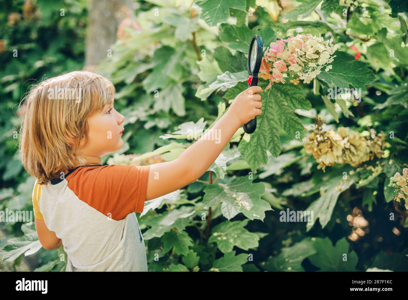 Little kid boy playing with magnifying glass outdoors Stock Photo - Alamy