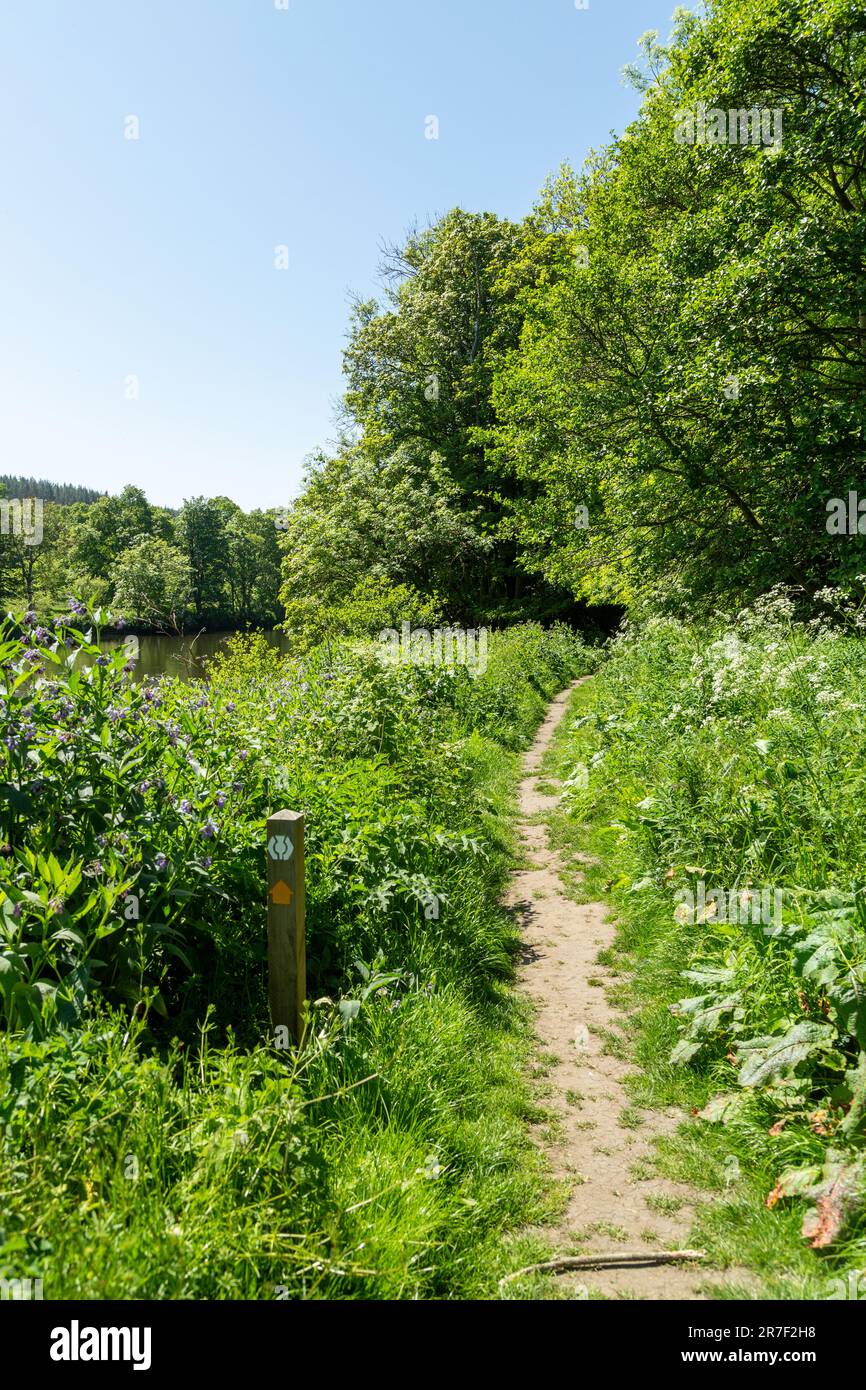 Galashiels footpath hi-res stock photography and images - Alamy