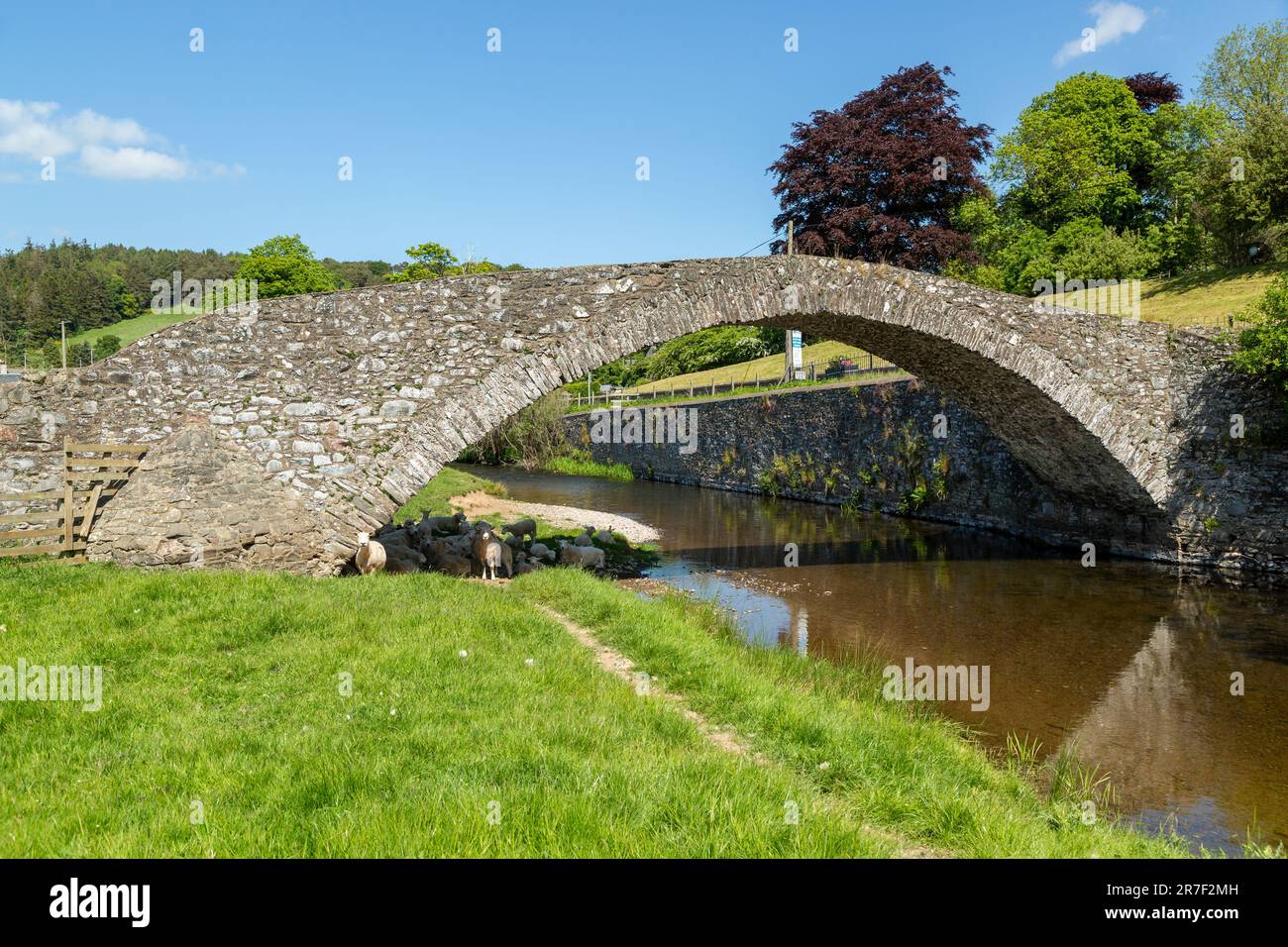 Packhorse bridge scottish borders hi-res stock photography and images ...