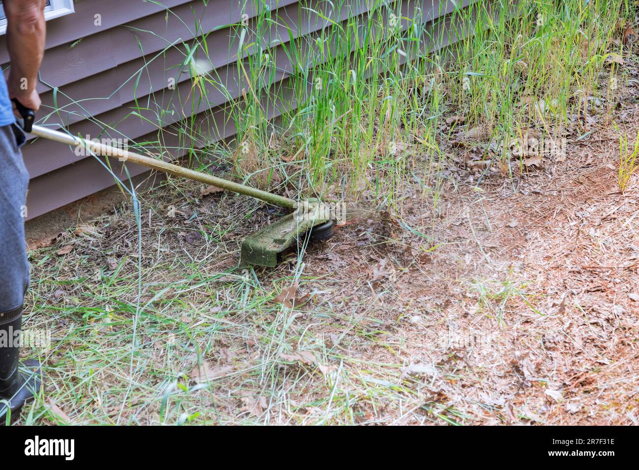 An employee with lawn mower trims the fresh green grass on lawn around ...