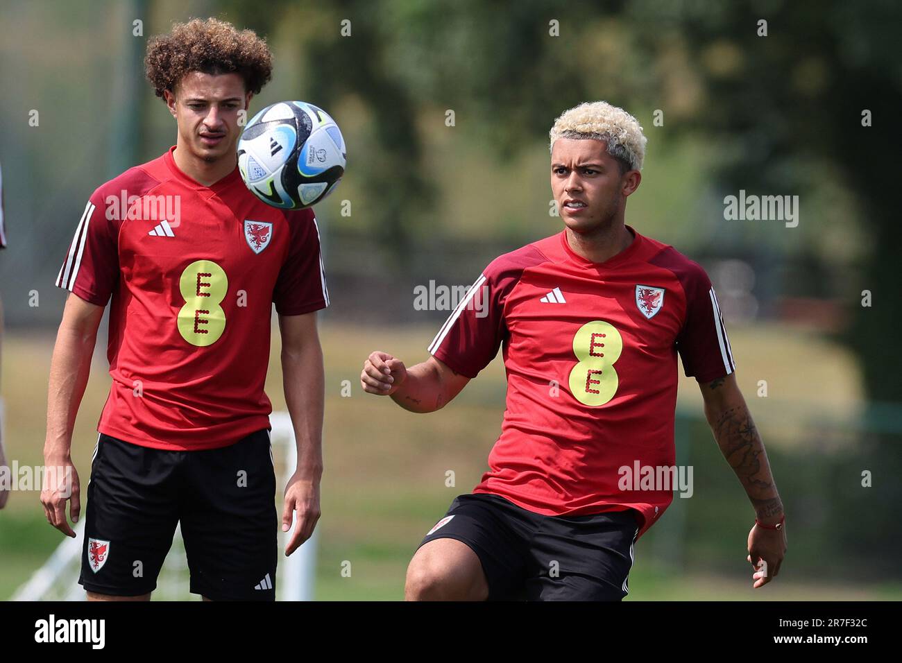 Cardiff, UK. 15th June, 2023. Brennan Johnson of Wales (r) and Ethan ...