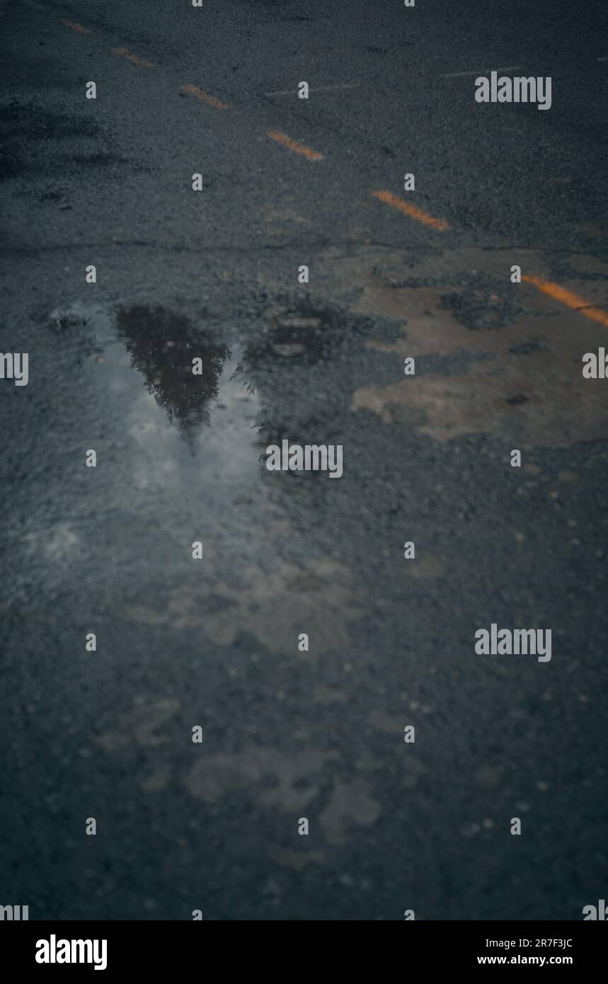 A wet asphalt road surface with a small pool of water reflecting the ...