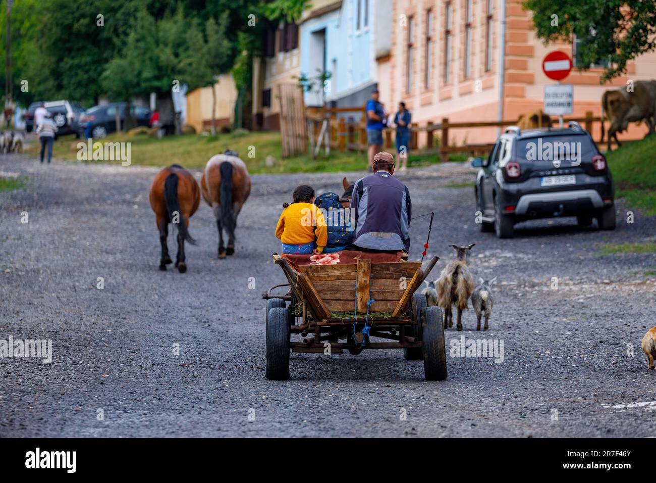 Driving a Horse Carriage in the Village of Viscri in Romania Stock ...