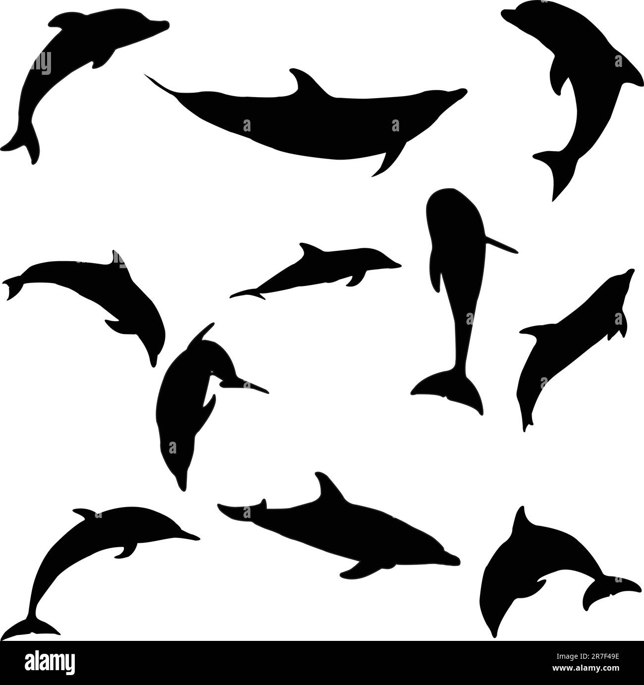 dolphins collection - vector Stock Vector Image & Art - Alamy