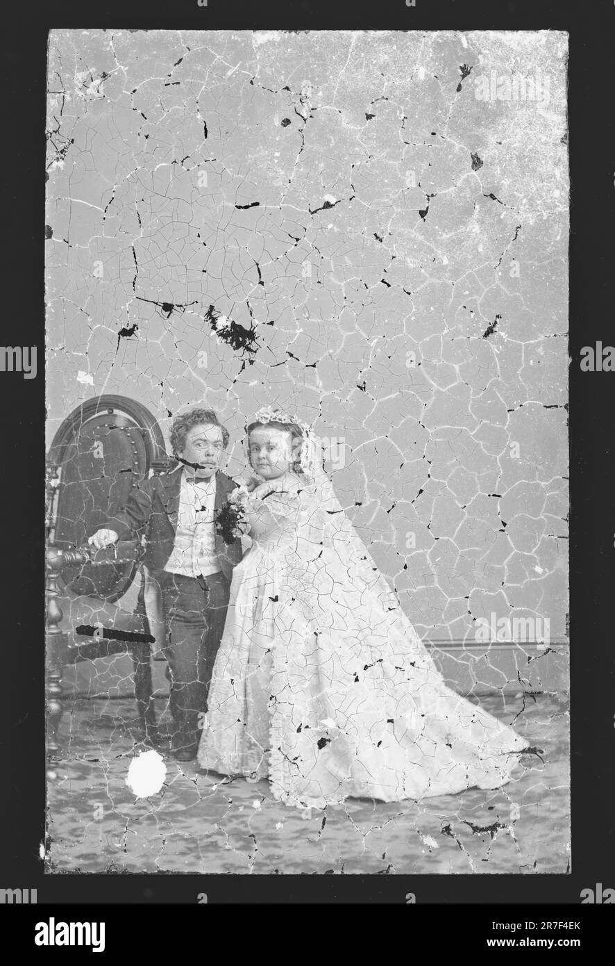 Charles and Lavinia Stratton c. 1860-70 Stock Photo - Alamy