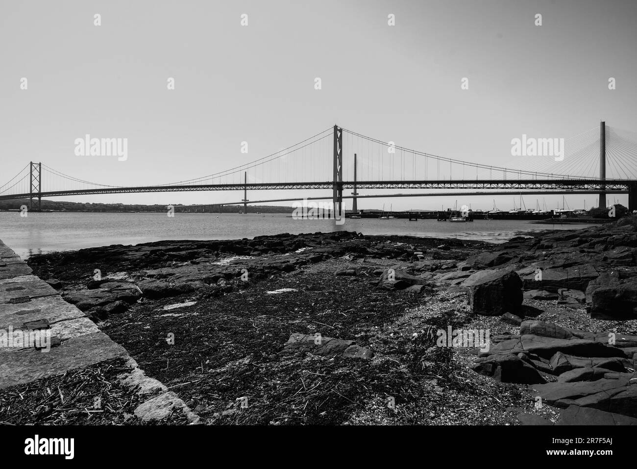Forth Road Bridge and Queensferry Crossing Stock Photo - Alamy