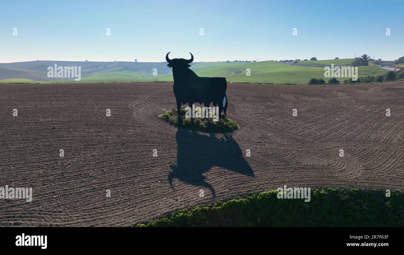 Aerial view of The bull of Osborne is a huge silhouette Stock Photo - Alamy