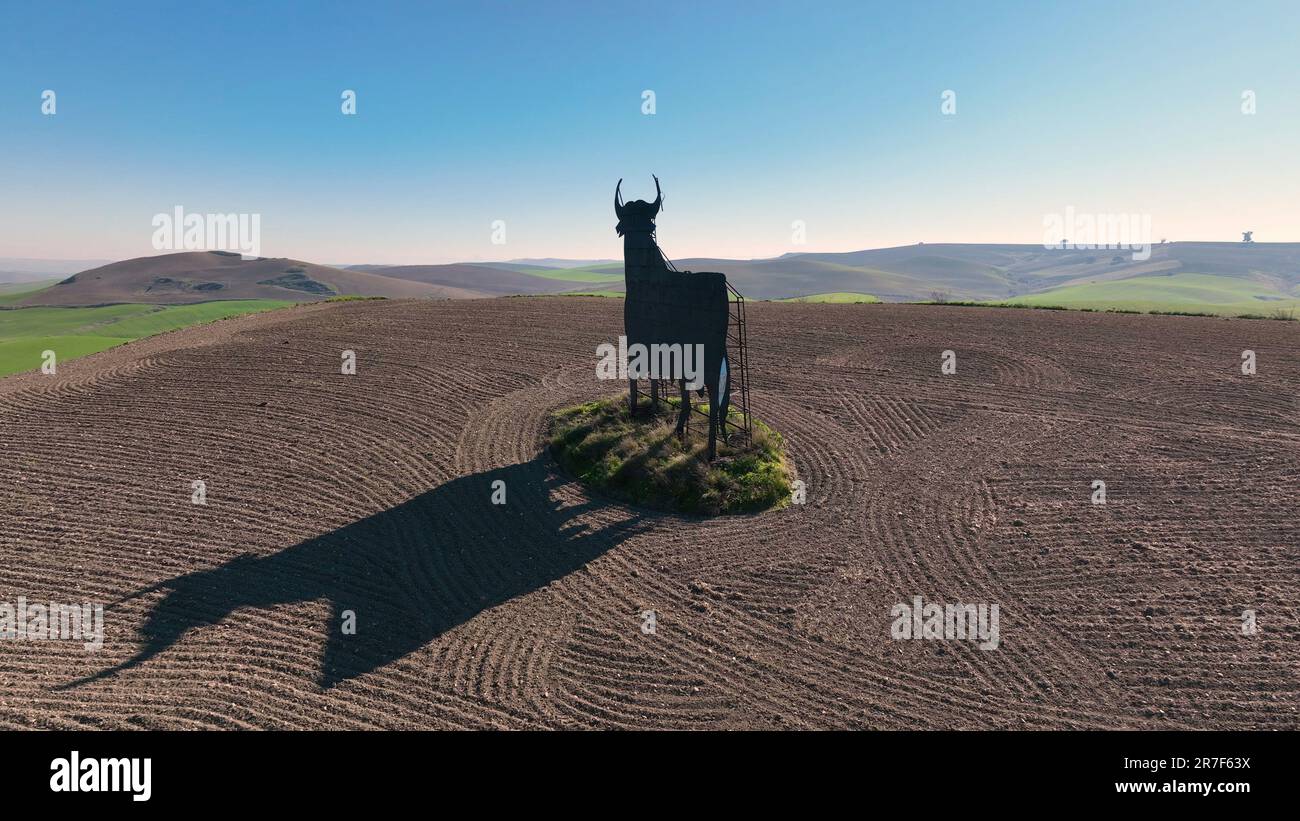 Aerial view of The bull of Osborne is a huge silhouette . cultural ...