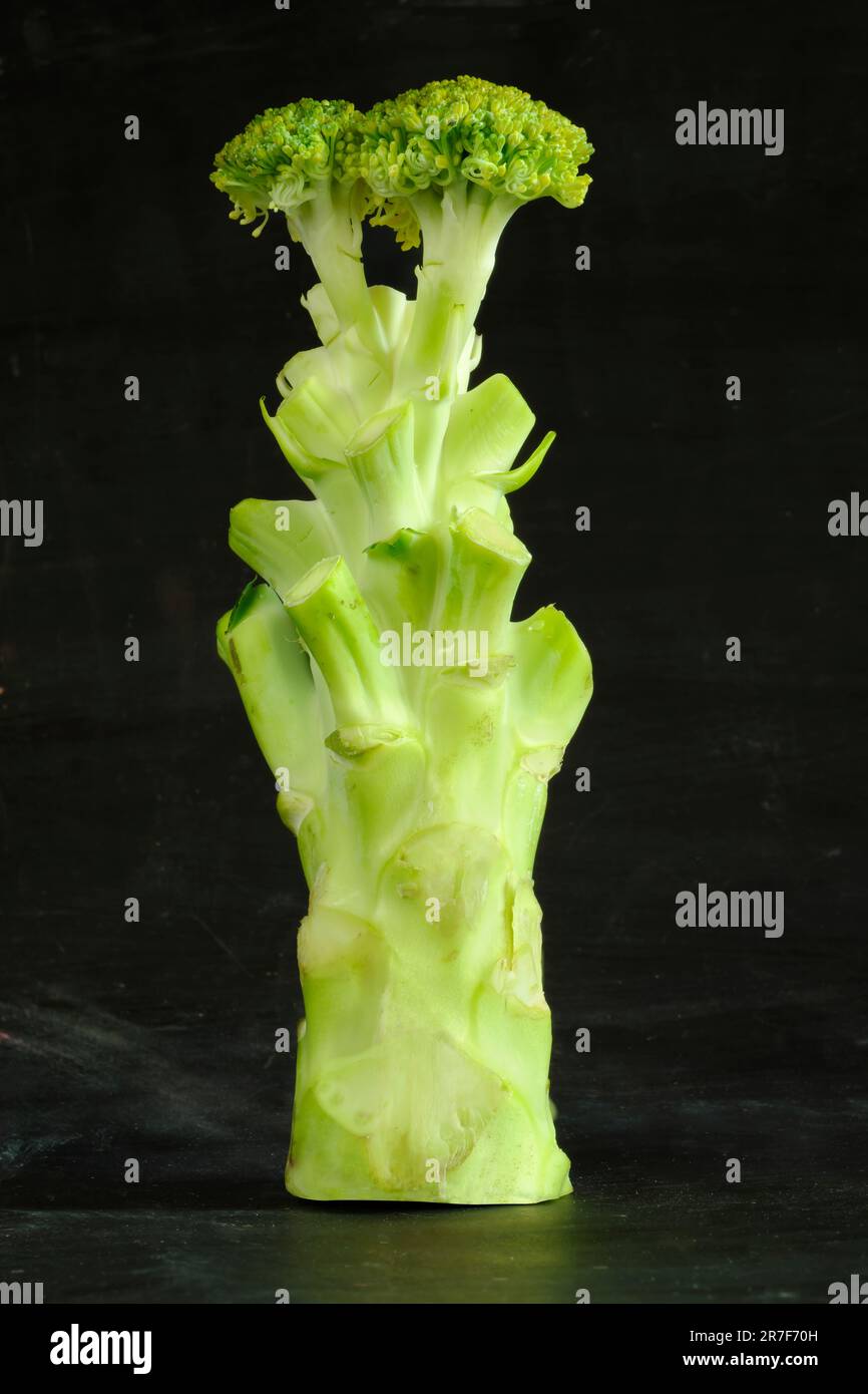 stem of broccoli, cooking,preparing food,vegetable concept.Close uü ...